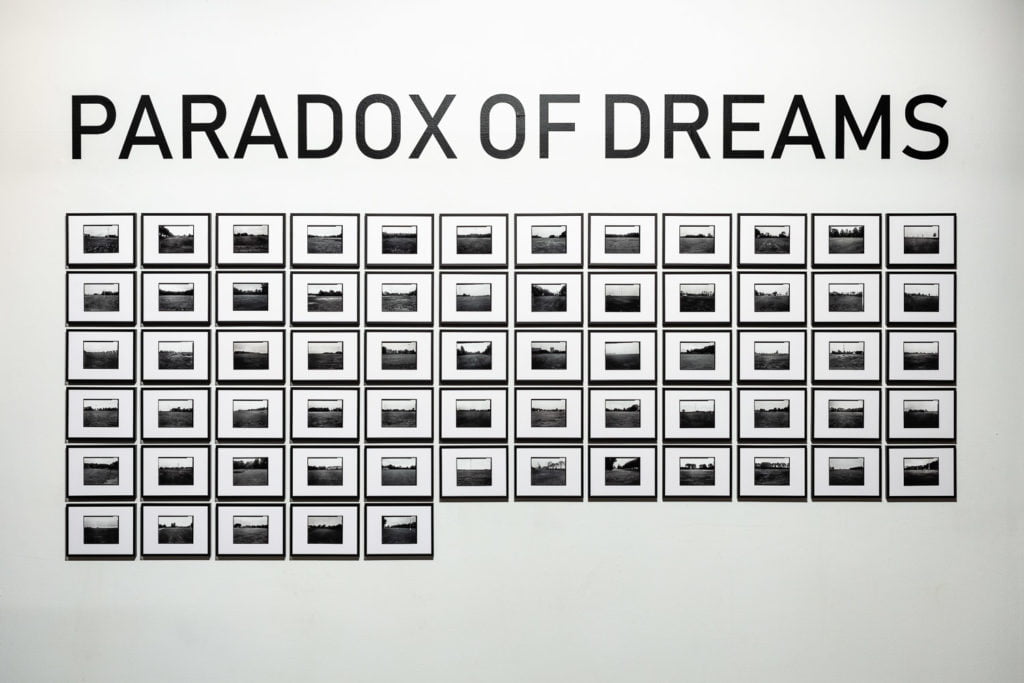 Paradox of dreams | David de Haan